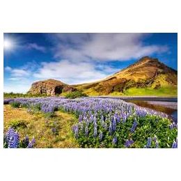 Fototapete papermoon "BLUMEN LANDSCHAFT-SEE GEBIRGE BERGE LAVENDEL BLUME DEKO", bunt, B:4m L:2,6m, Vlies, Tapeten