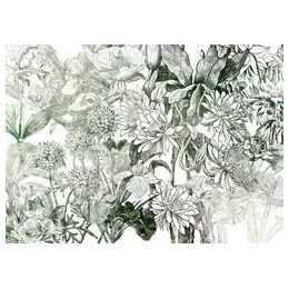 Vliestapete Komar "Digitaldruck Vlies - Valerie - Gr&ouml;&szlig;e 350 x 250 cm", bunt, B:350m L:250m, Vlies, Tapeten, Wohnzimmer, Schlafzimmer