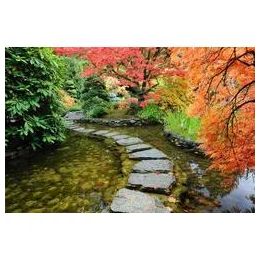 Fototapete papermoon "GARTEN-B&Auml;UME BLUMEN PFLANZEN PARK STEINE WALD BL&Uuml;TEN", bunt, B:4,5m L:2,8m, Vlies, Tapeten