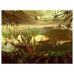 Fototapete papermoon "PLANETEN-FUTURISTISCH WELTRAUM MOND GALAXIE UNIVERSUM", bunt, B:4m L:2,6m, Vlies, Tapeten