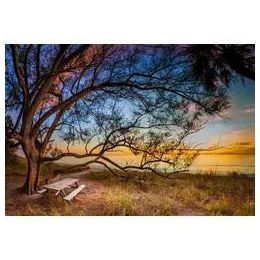 Fototapete papermoon "BAUM AM STRAND-MEER OZEAN BLUMEN SONNE WIESE FLORIDA", bunt, B:3,5m L:2,6m, Vlies, Tapeten