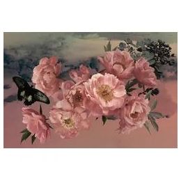 Fototapete papermoon "BLUMEN ABSTRAKT-MUSTER DESIGN ROSEN BLUMEN DECOR RETRO", bunt, B:4,5m L:2,8m, Vlies, Tapeten