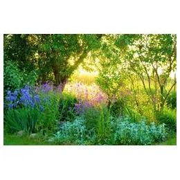 Fototapete papermoon "GARTEN-BLUMEN B&Auml;UME PFLANZEN PARK STEINE BL&Uuml;TEN WALD", bunt, B:5m L:2,8m, Vlies, Tapeten