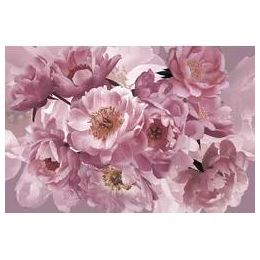Fototapete papermoon "BLUMEN ABSTRAKT-MUSTER DESIGN ROSEN BLUMEN DECOR RETRO", bunt, B:5m L:2,8m, Vlies, Tapeten