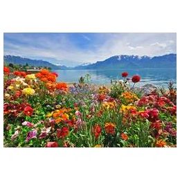 Fototapete papermoon "BLUMEN-DESIGN NATUR LANDSCHAFT GEBIRGE BERGE ALPEN SEE", bunt, B:4m L:2,6m, Vlies, Tapeten