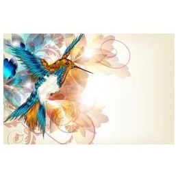Fototapete papermoon "KOLIBRI-DESIGN BLUMEN VOGEL TIER ABSTRAKT MUSTER DECOR", bunt, B:5m L:2,8m, Vlies, Tapeten