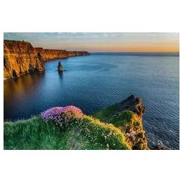 Fototapete papermoon "MOHER IRLAND-STRAND KLIPPEN K&Uuml;STE BLUMEN MEER GEBIRGE", bunt, B:4,5m L:2,8m, Vlies, Tapeten