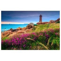 Fototapete papermoon "LEUCHTTURM-BRETAGNE BLUMEN WIESE MEER OZEAN K&Uuml;STE BERGE", bunt, B:4m L:2,6m, Vlies, Tapeten