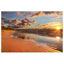 Fototapete papermoon "Lake Huron Dunes", bunt, B:3,5m L:2,6m, Vlies, Tapeten