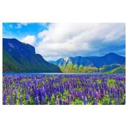 Fototapete papermoon "FJORD-NORWEGEN GEBIRGE BLUMEN SONNE WALD FLUSS B&Auml;UME", bunt, B:3,5m L:2,6m, Vlies, Tapeten