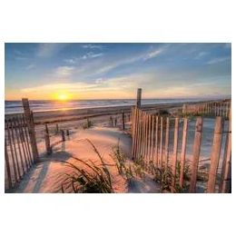 Fototapete papermoon "Outer Banks Dunes", bunt, B:3,5m L:2,6m, Vlies, Tapeten