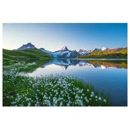 Fototapete papermoon "LANDSCHAFT-GEBIRGE BERGE SEE ALPEN BLUMEN NATUR TAPETE", bunt, B:5m L:2,8m, Vlies, Tapeten