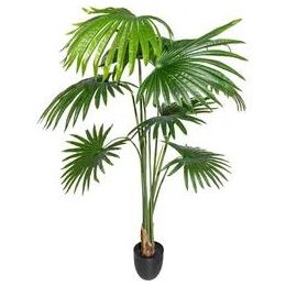 Kunstbaum Creativ green "Washingtonia", gr&uuml;n, H:150cm &Oslash;:130cm, Kunststoff, Kunstpflanzen
