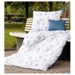 Bettw&auml;sche Janine "TANGO", lavendel, B/L: 155cm x 220cm, 1 Stk., 1 Stk., Mako-Soft-Seersucker, B/L: 80cm x 80cm, 2, Mako-Soft-Seersucker, Obermaterial: 100% Baumwolle, Bettw&auml;sche, Bettw&auml;sche, mit Rei&szlig;verschluss