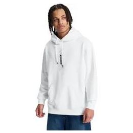 Kapuzensweatshirt DC Shoes "DC Omega", Herren, Gr. L, wei&szlig;, Obermaterial: 80% Walkfrottier, 20% Microfaser;, Sweatshirts