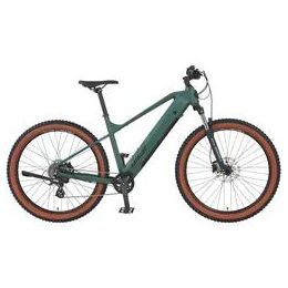 E-Bike Prophete "Dice 1.0" Gr. 48, gr&uuml;n, schwarz, Elektrofahrr&auml;der, 48cm, 27,5 Zoll (69,85cm)