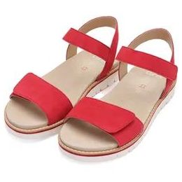 Riemchensandale Ara "KENT", Damen, Gr. 39, rot, Ziegenveloursleder, unifarben, Basic, Schuhe Riemchensandale, Keilsandalette, Sommerschuh mit High Soft-Funktion, G-Weite