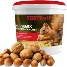 Supravit Frische N&uuml;sse-Mix Eichh&ouml;rnchen Futter 1kg | Ganzjahresfutter f&uuml;r Eichh&ouml;rnchen