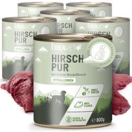 REAVET Hunde Nassfutter - Hirsch PUR 6x800 g