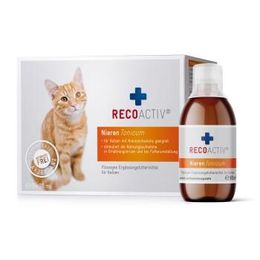 Recoactiv Niere f&uuml;r Katzen, phosphorreduziert, 3 x 90 ml
