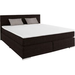 Boxspringbett COTTA "Simba", braun, L:209cm, Komplettbetten, Boxspringbett, wahlweise mit oder ohne Matratze und Topper bestellbar