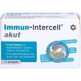 INTERCELL-Pharma GmbH IMMUN-INTERCELL akut Hartk.m.ver&auml;nd.Wst.-Frs. 60 St