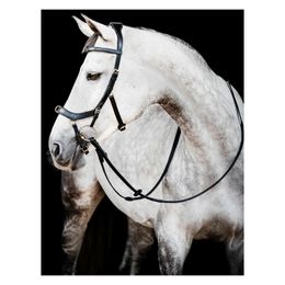 Horseware Micklem 2 Multi Bridle schwarz X-WB