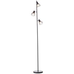 Brilliant Stehlampe "Blacky", schwarz (schwarz matt), 3, &Oslash; 25cm H: 162cm, 1 Stk., Leuchten, 3flg schwarz matt, Stehlampe