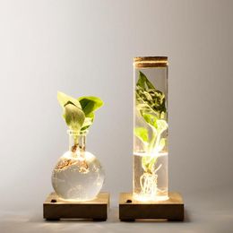 2er-Set Waterplants mit LED-Lichtern