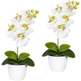 Kunstpflanze Creativ green "Orchidee Phalaenopsis", gr&uuml;n (wei&szlig;, gr&uuml;n), H:40cm, Kunststoff, Polyester, Kunstpflanzen, Kunstpflanze, im Keramiktopf