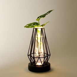 Waterplant Monstera im Metallgef&auml;&szlig;