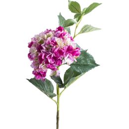Kunstblume BOTANIC-HAUS "Hortensie", bunt (pink, rosa, creme, gr&uuml;n), B:20cm H:94cm T:20cm &Oslash;:20cm, Kunststoff, Kunstpflanzen