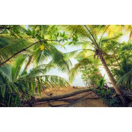 Vliestapete Komar "Digitaldruck Vlies - Piratenversteck - Gr&ouml;&szlig;e 450 x 280 cm", gr&uuml;n, B:450m L:280m, Vlies, Tapeten, Wohnzimmer, Schlafzimmer