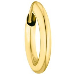 Single-Creole Amor "Gold Classic", gold (gelbgoldfarben), Ohrringe, Damen, Gelbgold 375, Made in Germany