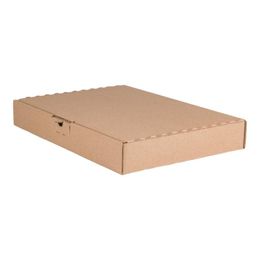 Kartons24.de | 25 x Maxibriefkarton DIN A4 350 x 250 x 50 mm