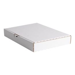 25 x Maxibriefkarton DIN A4 350 x 250 x 50 mm wei&szlig;