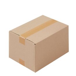 30 x Faltkarton 304 x 217 x 150 mm