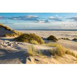 Fototapete papermoon "D&Uuml;NEN-AMRUM NORDSEE STRAND MEER INSEL HOLSTEIN GRAS XXL", bunt, B:4m L:2,6m, Vlies, Tapeten
