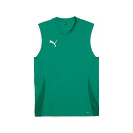 Fu&szlig;balltrikot Puma "TEAMGOAL SLEEVELESS JERSEY", Herren, Gr. M, sport gr&uuml;n, Puma wei&szlig;, power gr&uuml;n, Interlock, Obermaterial: 100% Polyester, unifarben, regular fit normal, Rundhals, Trikots Fu&szlig;balltrikot, f&uuml;r Fu&szlig;ball, &auml;rmellos, sportlicher Stil, aus Interlock-Material