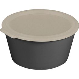 Koziol Move Box Schale mit Deckel 2,2 Liter nature ash grey - Sch&uuml;sseln & Schalen