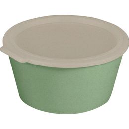 Koziol Move Box Schale mit Deckel 2,2 Liter nature leaf green - Sch&uuml;sseln & Schalen