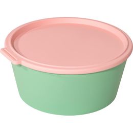 Koziol Nora Box Schale mit Deckel 2,2 Liter mid green/ sweet pink - Sch&uuml;sseln & Schalen
