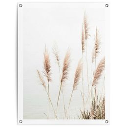 Poster Reinders "Pampasgras", beige (farbe bild(er): beige), B:60cm H:80cm T:0,1cm, Leinwand, Bilder, Poster, Outdoor f&uuml;r Garten oder Balkon