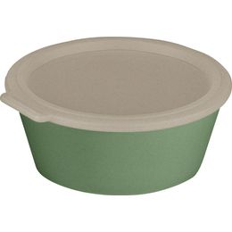 Koziol Move Box Schale mit Deckel 1,3 Liter nature leaf green - Sch&uuml;sseln & Schalen