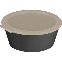 Koziol Move Box Schale mit Deckel 1,3 Liter nature ash grey - Sch&uuml;sseln & Schalen