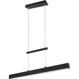 REALITY LEUCHTEN LED Pendelleuchte "PAROS", schwarz, 1, H: 150cm, 1 Stk., Leuchten, &uuml;ber Wandschalter dimmbar, h&ouml;henverstellbar, up and down Beleuchtung, LED Pendelleuchte