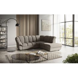 Ecksofa COTTA "Mado, Breite 260 cm", schoko, B:260cm H:88cm T:104cm, 100% POLYESTER (PES), Sofas, Ecksofa, verschiedene Sofas individuell kombinierbar