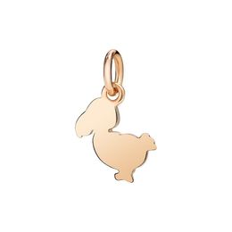 DoDo Charm DoDo Nature DMB5001JUNIS0009R0