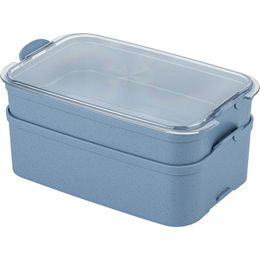Koziol Stakk Bentobox 2 Lunchboxset 3 teilig mit 2 Boxen / 1 Deckel 2 Liter nature flower blue/crystal clear - Lebensmittelbeh&auml;lter / Vorratsdosen