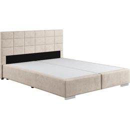 Boxspringbett COTTA "Simba", grau (platinum), L:209cm, Komplettbetten, Boxspringbett, wahlweise mit oder ohne Matratze und Topper bestellbar